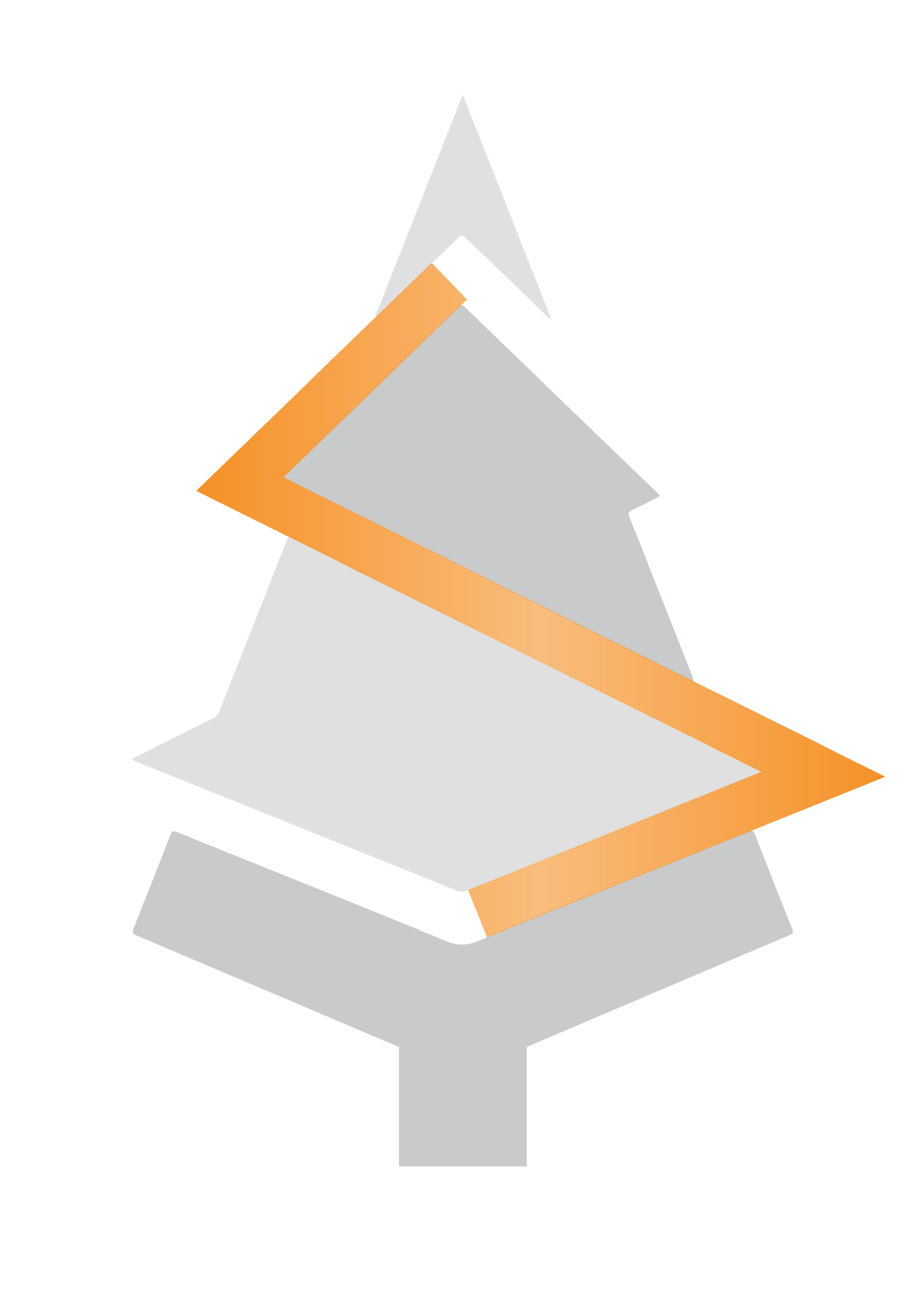 Journey Tree - The Demand Project